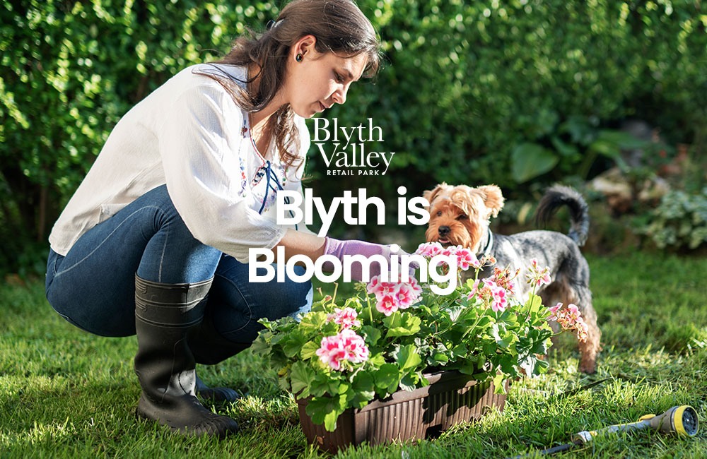 Home - Blyth Valley Retail Park